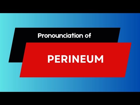 How to Pronounce Perineum in American English