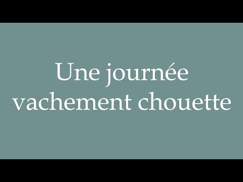 How to Pronounce ''Une journée vachement chouette'' (A really great day owl) Correctly French