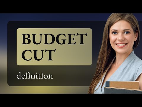 Budget cut — meaning of BUDGET CUT