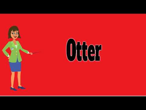 Otter | Pronunciation | Meanings | Examples | Definition | Animals Name