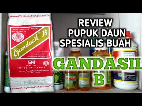 review pupuk daun GANDASIL B - pupuk daun spesialis buah