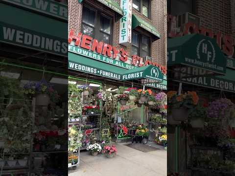 Henry's Florist Bay Ridge Brooklyn New York #shorts | Bunnie's Kitchen