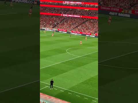 SPORTING X BENFICA HOJE