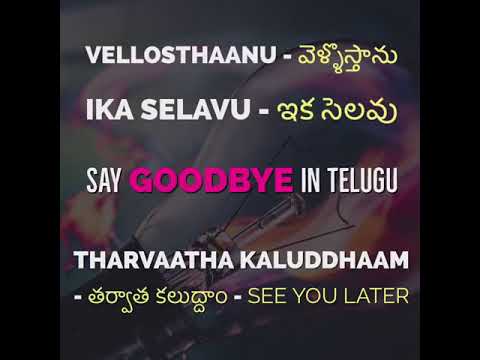 Phrases and Sentences with-Goodbye| Learn Telugu with Pravindra Adari | Learn Telugu | Learn English