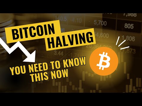 Bitcoin Halving - The 5 Phases that every crypto HOLDER should know