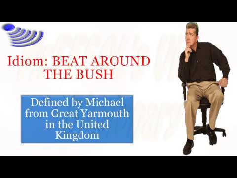Idiom: BEAT AROUND THE BUSH