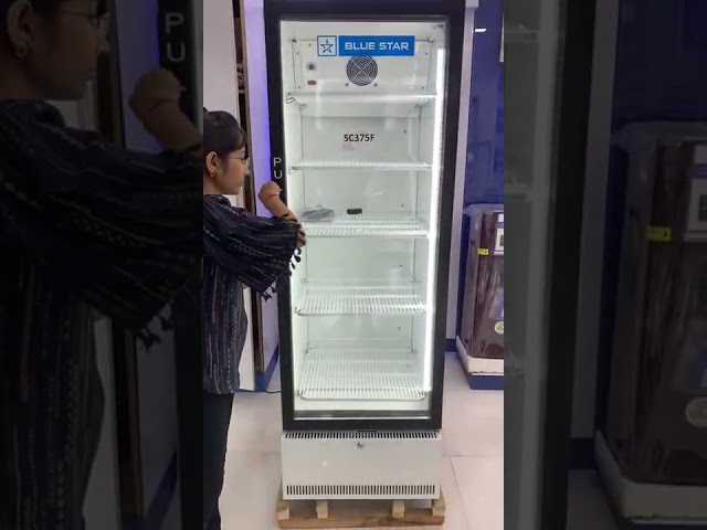 Visi Cooler - SC375F Blue Star Visi Fridge Wholesaler from Kolkata