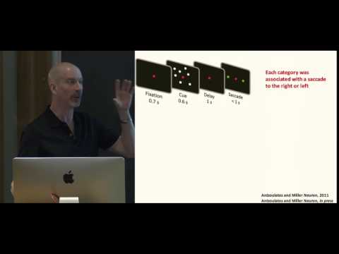 Earl Miller: Cognition is rhythmic