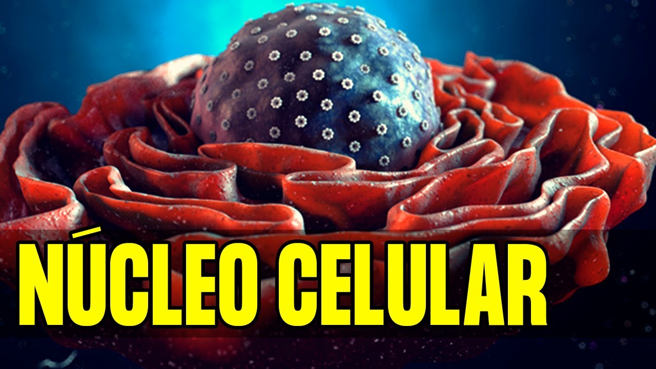 Núcleo Celular