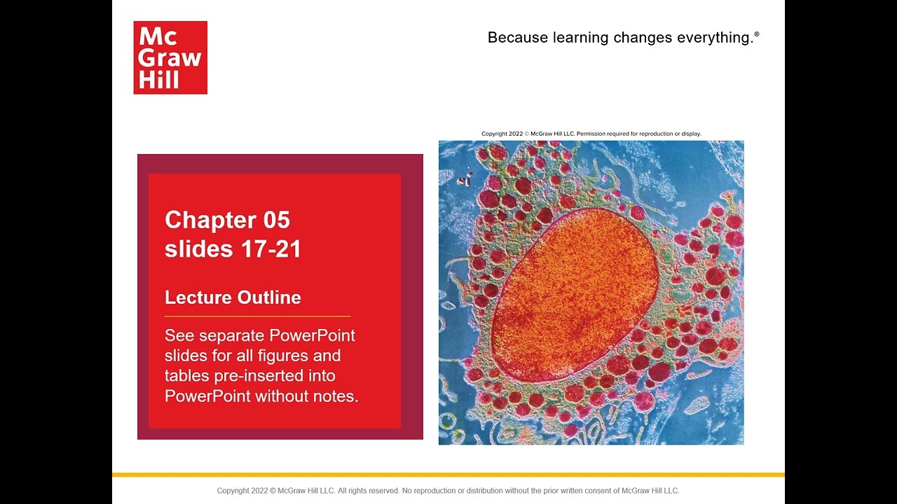 Chapter 5 video 3 Glands slides 17-21