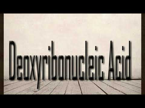 How to Pronounce Deoxyribonucleic Acid