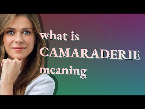 Camaraderie | meaning of Camaraderie