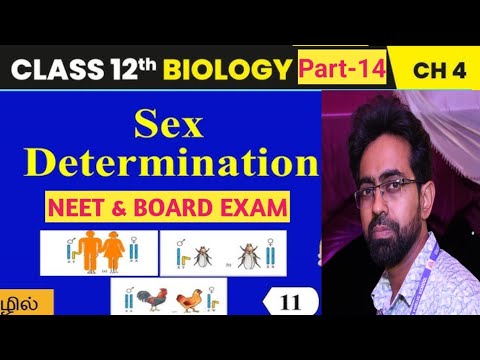 SEX DETERMINATION IN ORGANISMS- PART-14 FOR NEET AND BOARD EXAM 👌 👌 👌