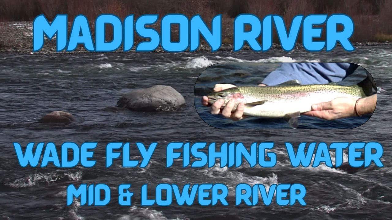 Madison River Wade Fishing Mid/Lower