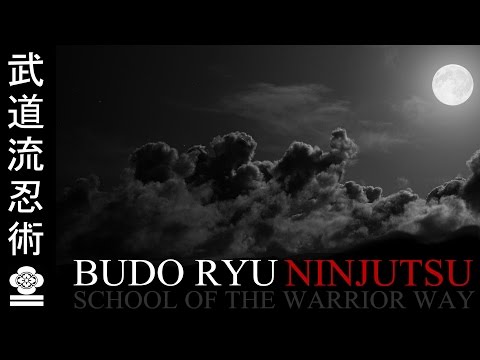 What is the Budo Ryu Kai Daikomyosai? (武道流会 大光明祭) 忍術, 武術 | Anshu ...