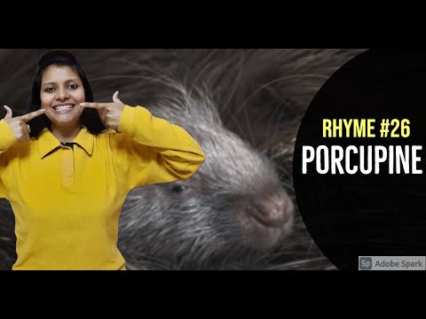 Rhyme #26 | Porcupine | Rhyme for Kids