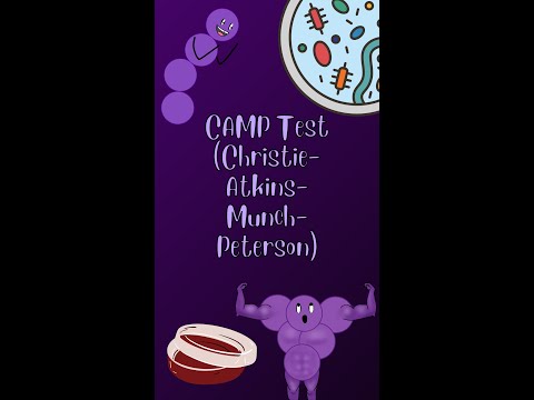 CAMP Test (Christie-Atkins-Munch-Peterson) - Microbiology Laboratory Practicals - Crashcourse