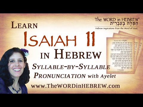 Isaiah 11 in Hebrew with syllable-by-syllable pronunciation! The "Root of David"