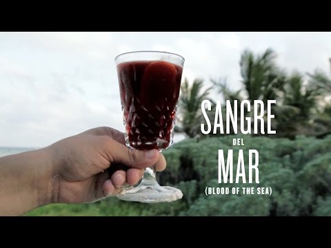 Curbside Cocktails: Yucatán Peninsula, SANGRE DEL MAR - Liquor.com