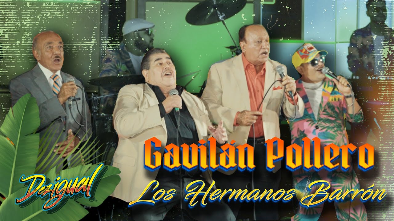 Gavilán Pollero by Dezigual from Mexico | Popnable