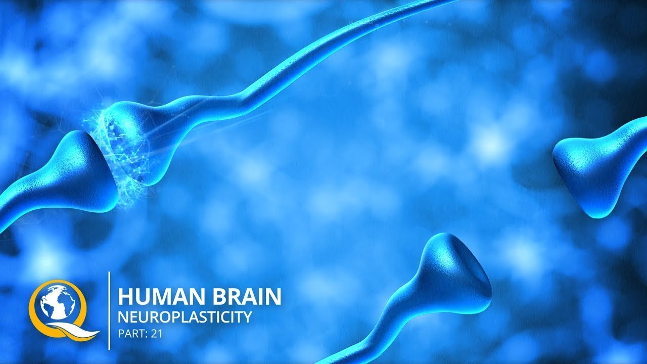 Unlocking the Power of Neuroplasticity: Rewiring Your Brain for a ... Unlocking the Power of Neuroplasticity: Rewiring Your Brain for a ...