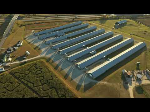 My Pro Photographer drone aerials of Case Farm Chicken plant