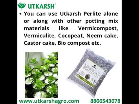 Perlite - Perlite Soil Latest Price, Manufacturers & Suppliers