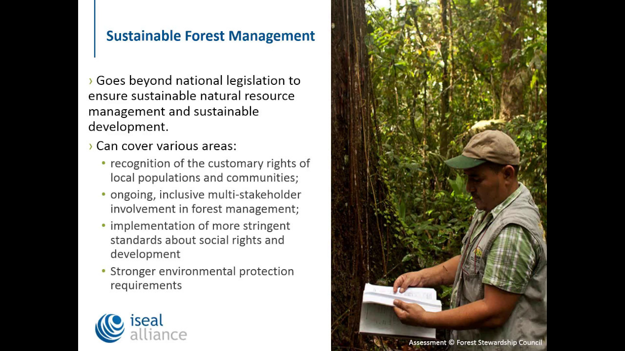 Webinar: Deforestation, Public Procurement & Forest Certification