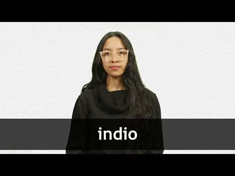 English Translation of “INDIO” | Collins Spanish-English Dictionary