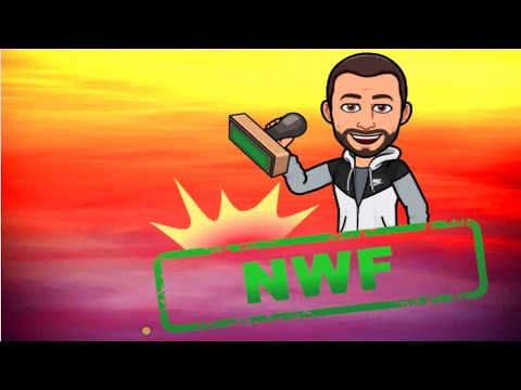 Nonsense Words Fluency | Nonsense Words to Sound Out | NWF (3)
