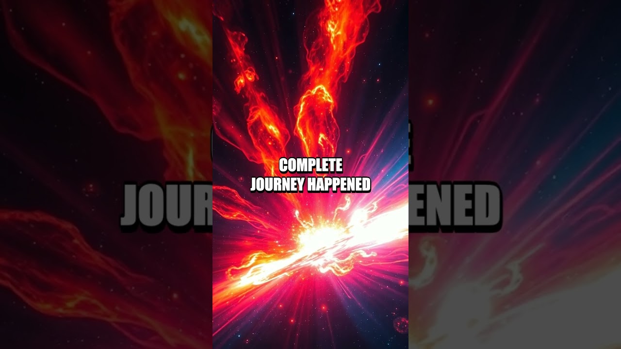 The Secret Life of the Cosmic Carousel: The Galactic Year