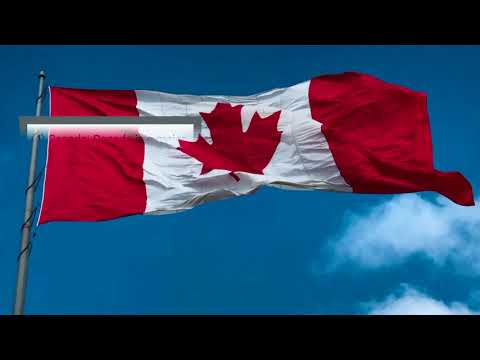 Top 10 Agricultural Exporting Countries in the World / The Leading Countries in Agriculture : Top 10