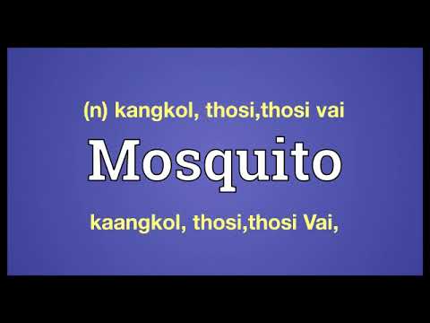 mosquito meaning in English Ngawn