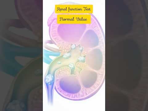 Renal function test ред kidney ред RFT #shorts