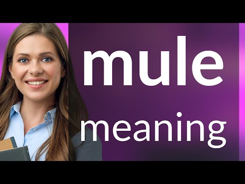 Mule — MULE definition