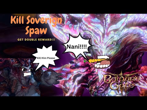 BG3 - Why You Should Kill The Soverign Spaw