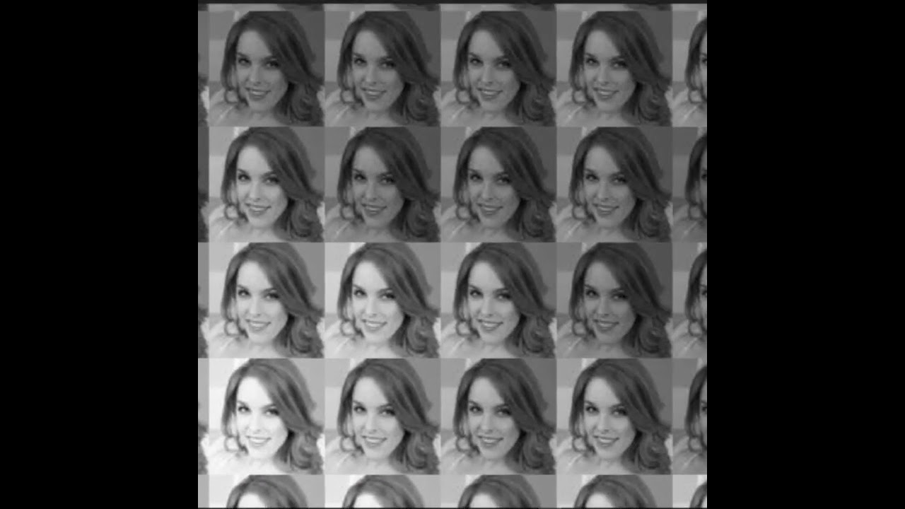 AMARNA MILLER - pictures in picture / xxx actresses