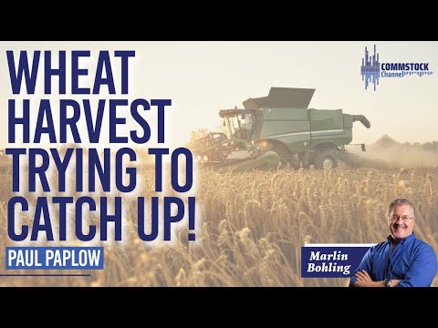 Wheat Harvest Trying To Catch Up! With Paul Paplow