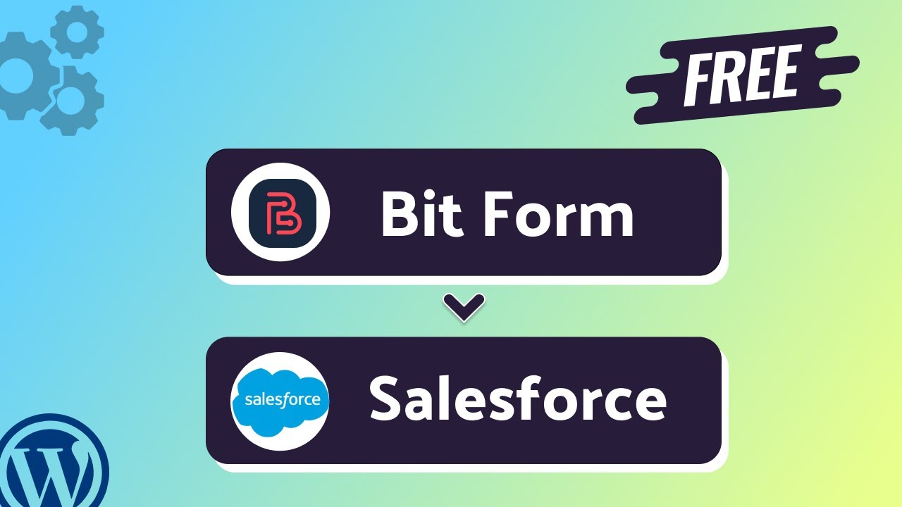 Integrating Bit Form with Salesforce | Step-by-Step Tutorial | Bit Integrations