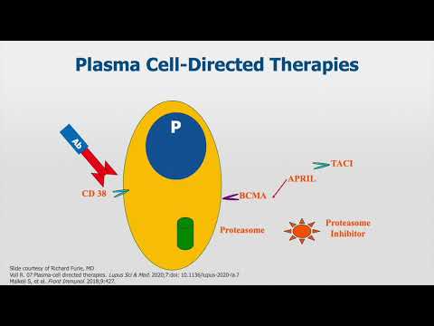 Targets in the Lupus Therapy Pipeline with Dr. Rich Furie