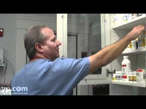 Animal Hospitals Greenville RI NorthPaws Veterinary Center