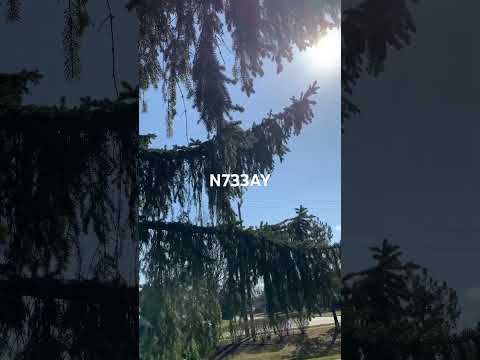 N733AY
