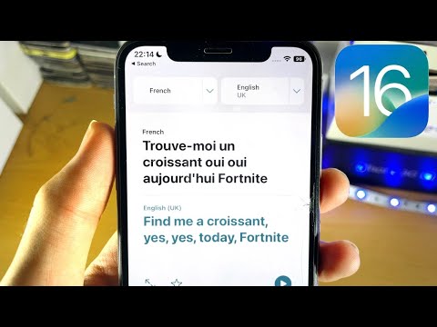 How To Use Apple Translate on iPhone!