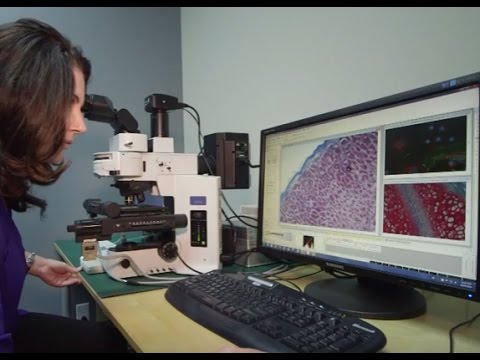 Microscope Cameras - Microscope Cams Latest Price, Manufacturers ...