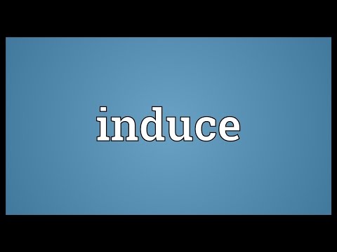 Induce Meaning