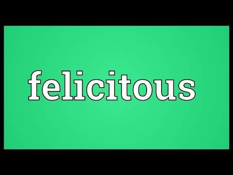 Felicitous Meaning