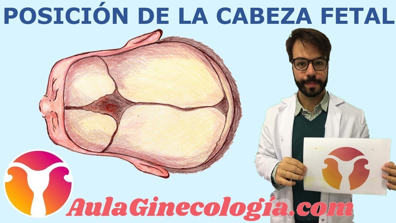 POSITION of the FETAL HEAD during DELIVERY - Gynecology and Obstetrics -