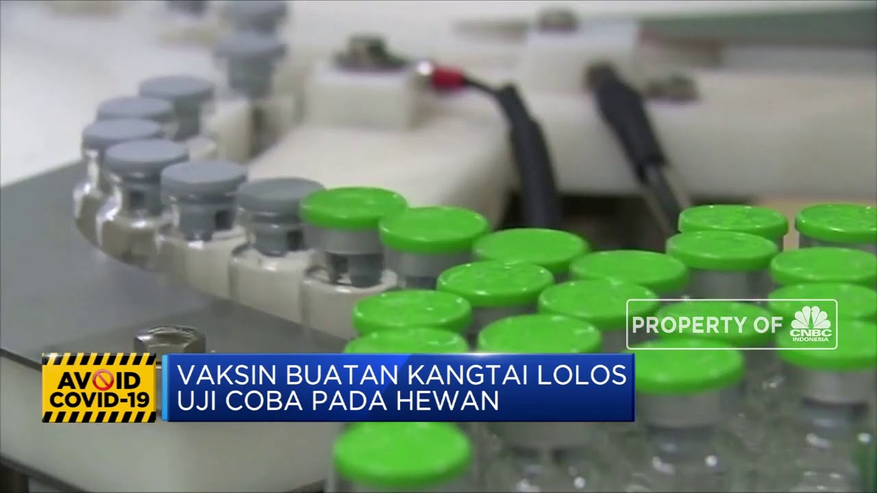 China Punya 5 Kandidat Vaksin Covid-19