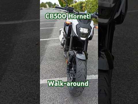 Honda CB500 Hornet Walk-around 2024 #hondacb500f #hondahornet #hondamotorcycles #shorts