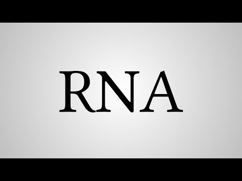 What Does "RNA" Stand For?